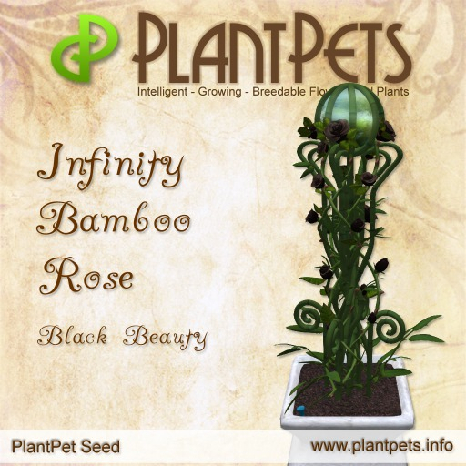 Second Life Marketplace - PlantPet Seed [Infinity Bamboo Rose *Black ...